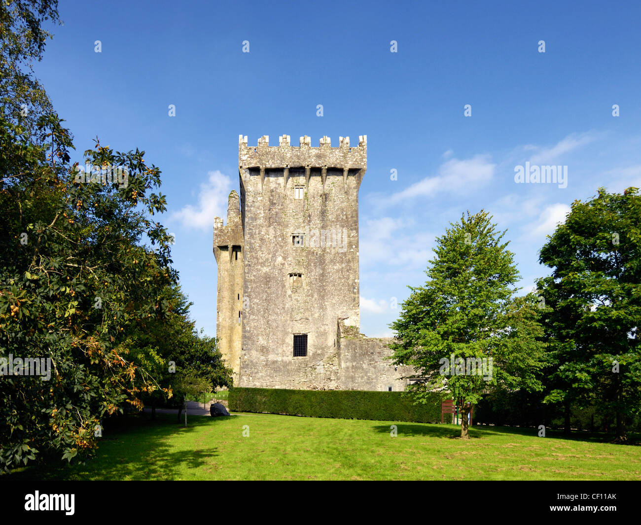 Maccarthy of muskerry dynasty hi-res stock photography and images - Alamy