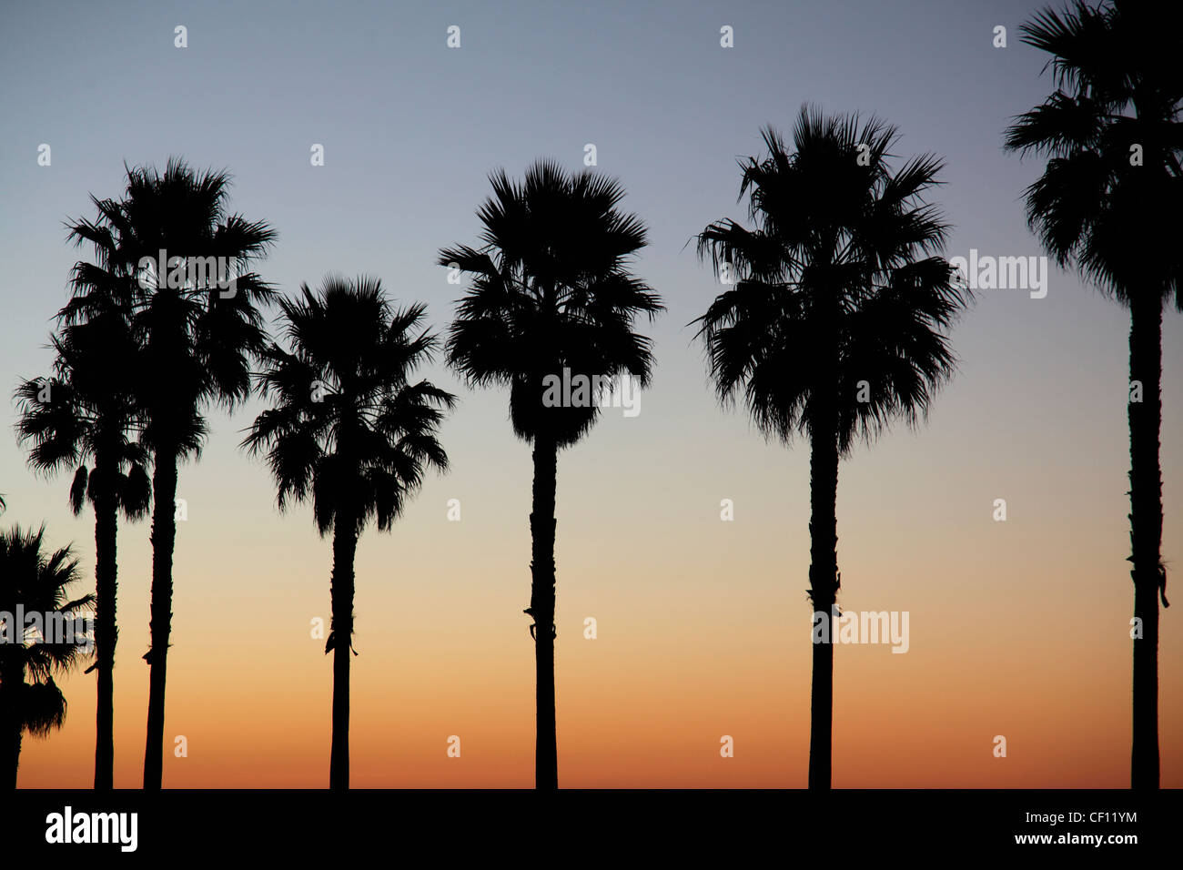 Palm trees and sunset hi-res stock photography and images - Alamy