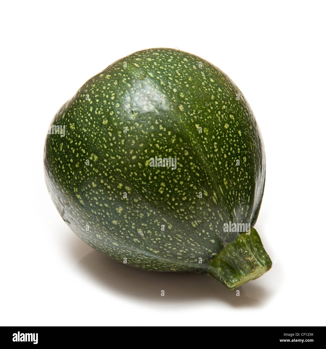Globe courgette isolated on a white studio background Stock Photo - Alamy