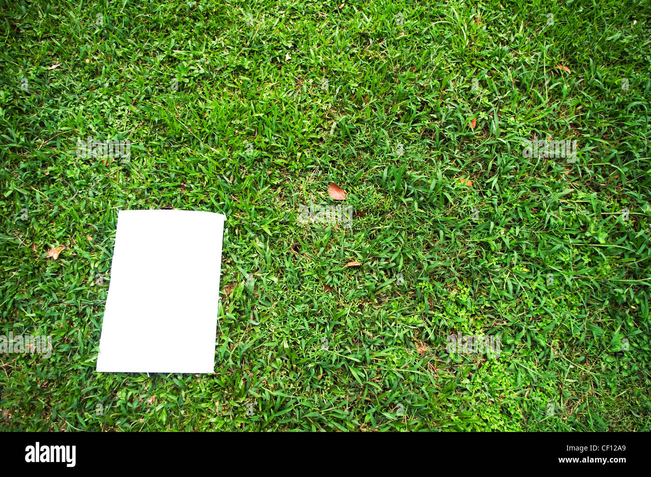 a white board is on a grass field, for message display. clipping path ...