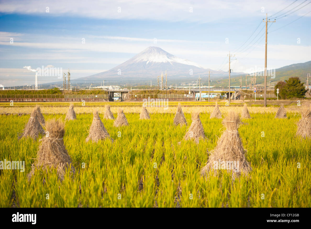 Rice fields in front mountains hi-res stock photography and images - Alamy