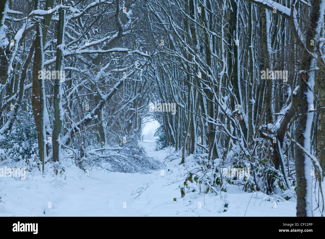 Stowting kent hi-res stock photography and images - Alamy