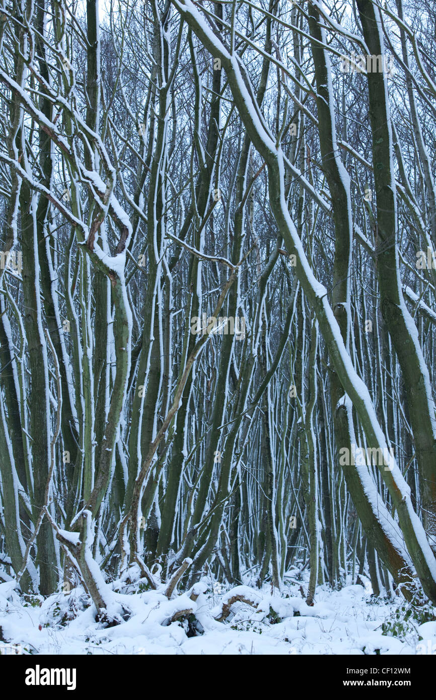 Kent village snow hi-res stock photography and images - Alamy