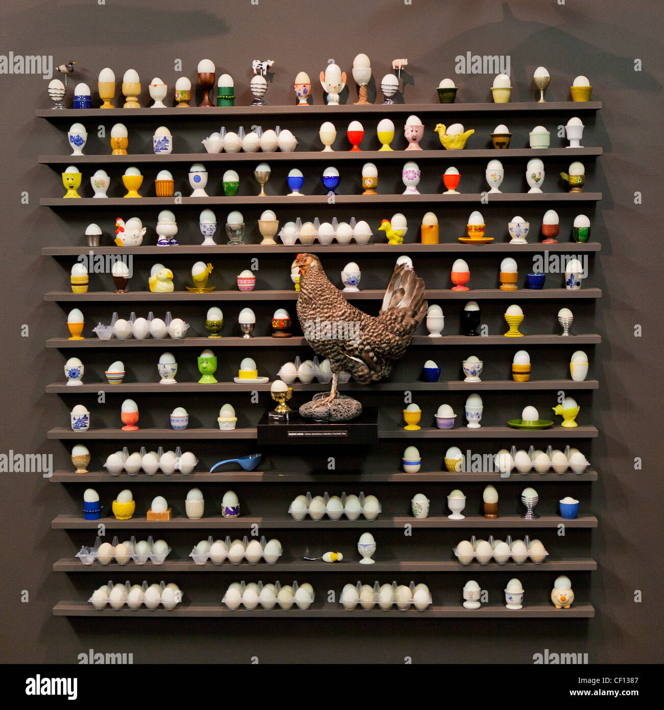 Chicken Display with eggs, Natturusetrid Husabakka Bird Museum ...