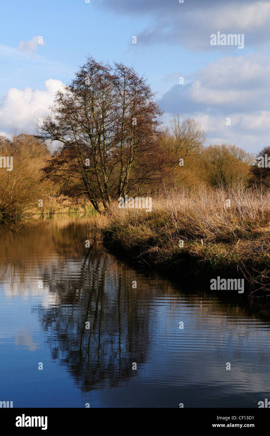 River little ouse little ouse hi-res stock photography and images - Alamy