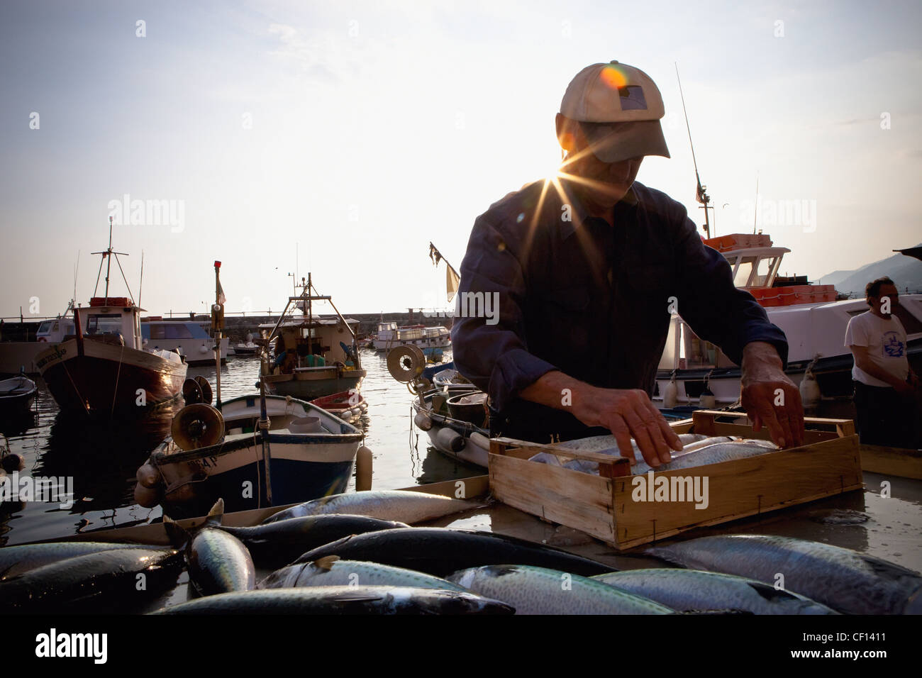 Packing crates boxes hi-res stock photography and images - Alamy