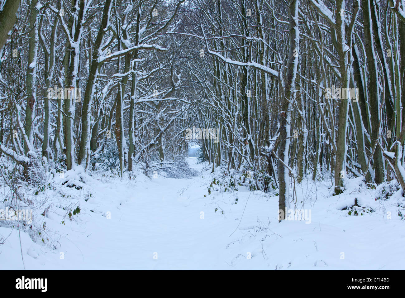 Kent snow scenes hi-res stock photography and images - Alamy
