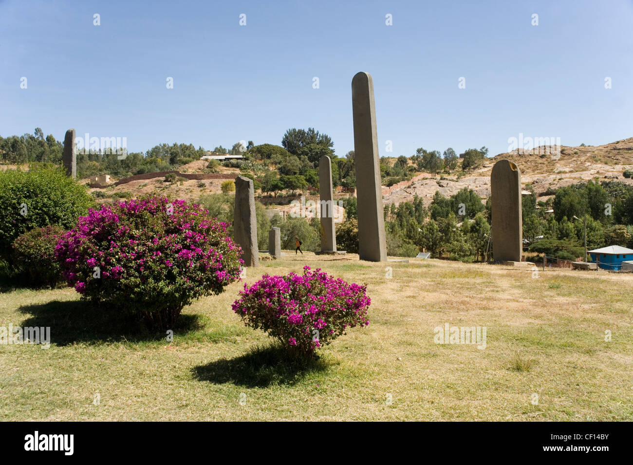 Stelae in the Northern Stelae field at Axum or Aksum in Ethiopia Stock ...