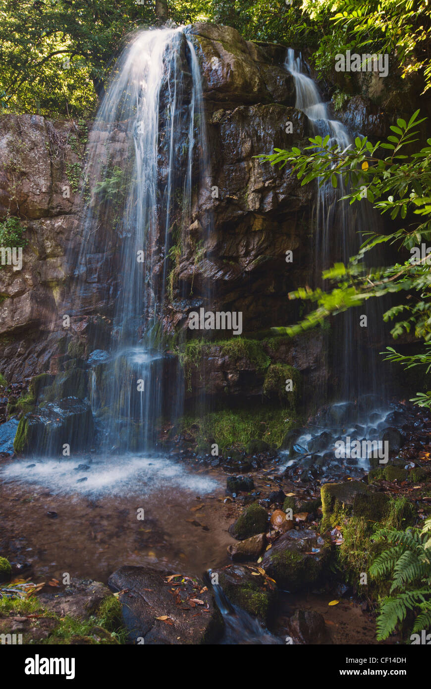 Kilfane Waterfall And Gardens; Thomastown County Kilkenny Ireland Stock ...