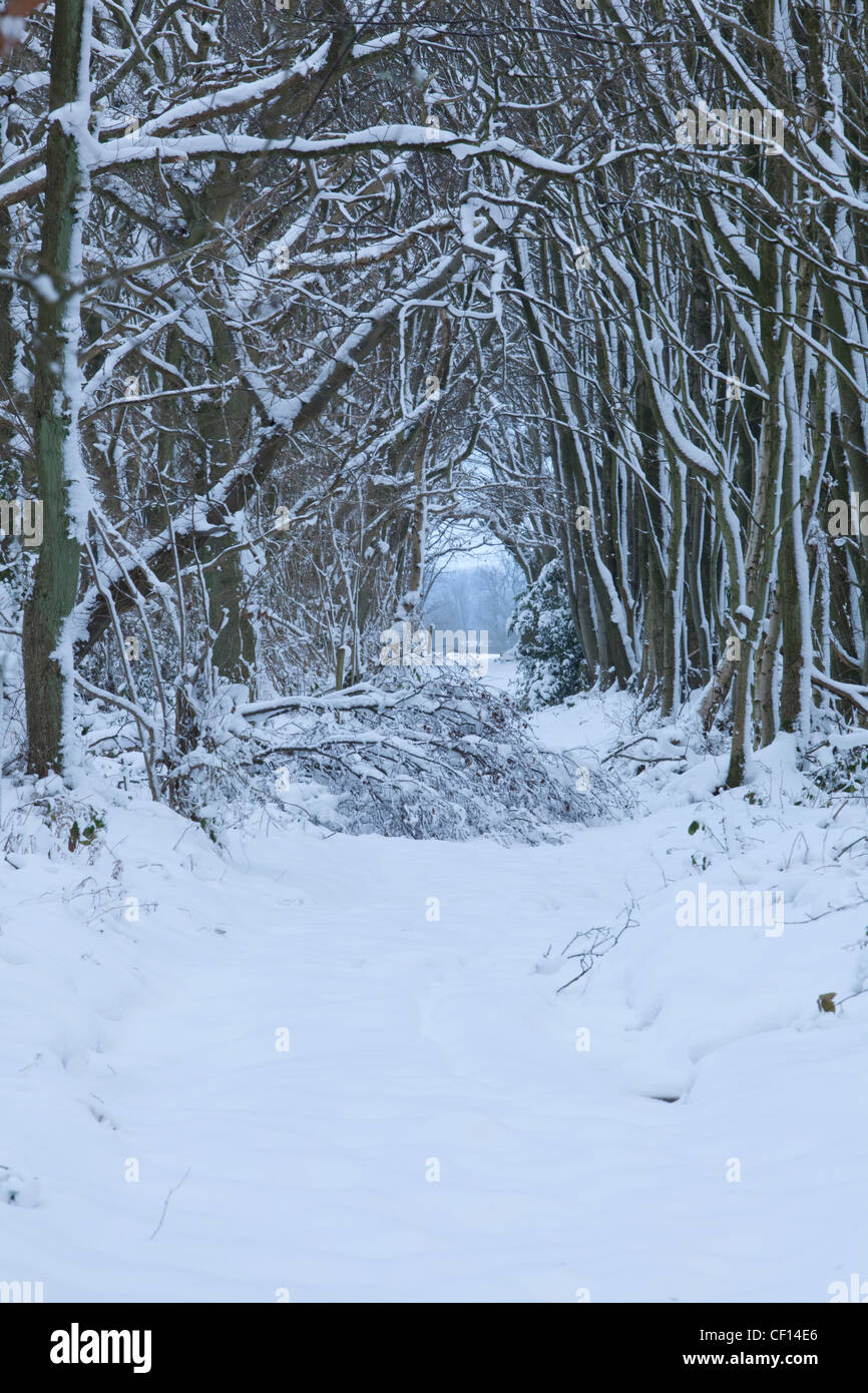 Kent snow scenes hi-res stock photography and images - Alamy