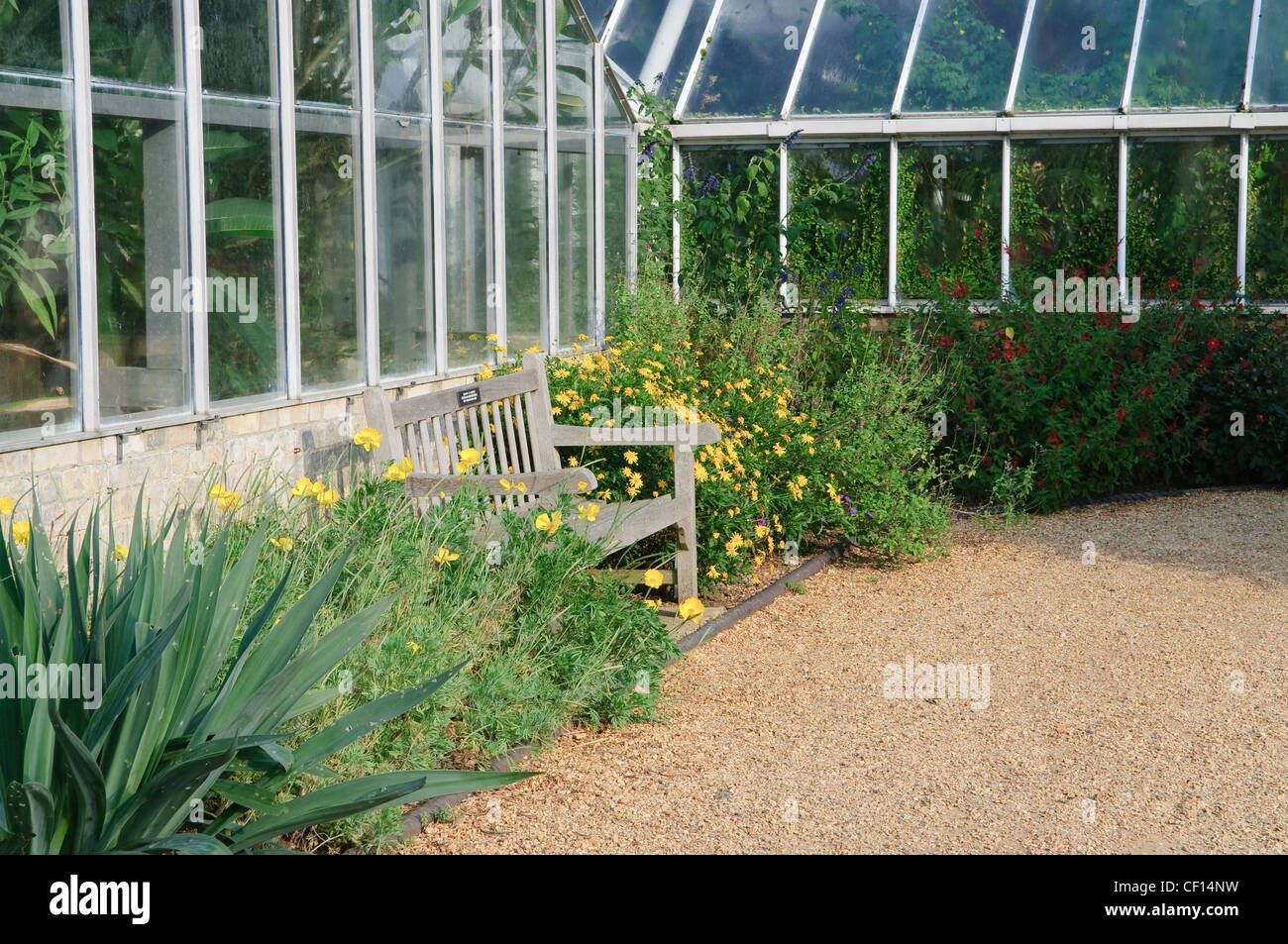 Glasshouse and garden bench in Cambridge Botanic Garden Stock Photo - Alamy