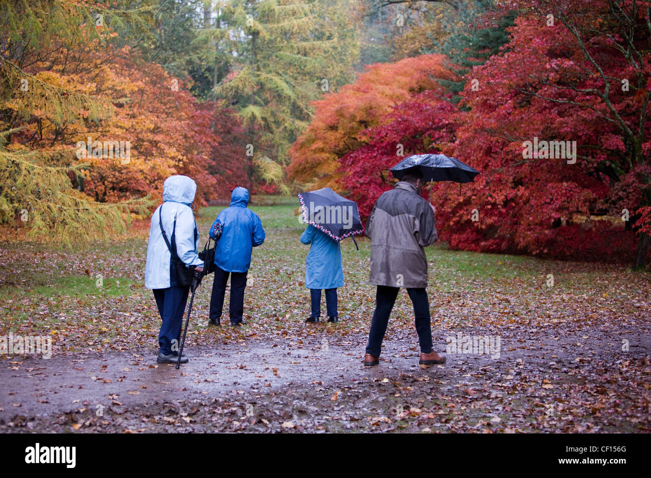 Visitors on a rainy and wet autumn day at The National Arboretum at ...