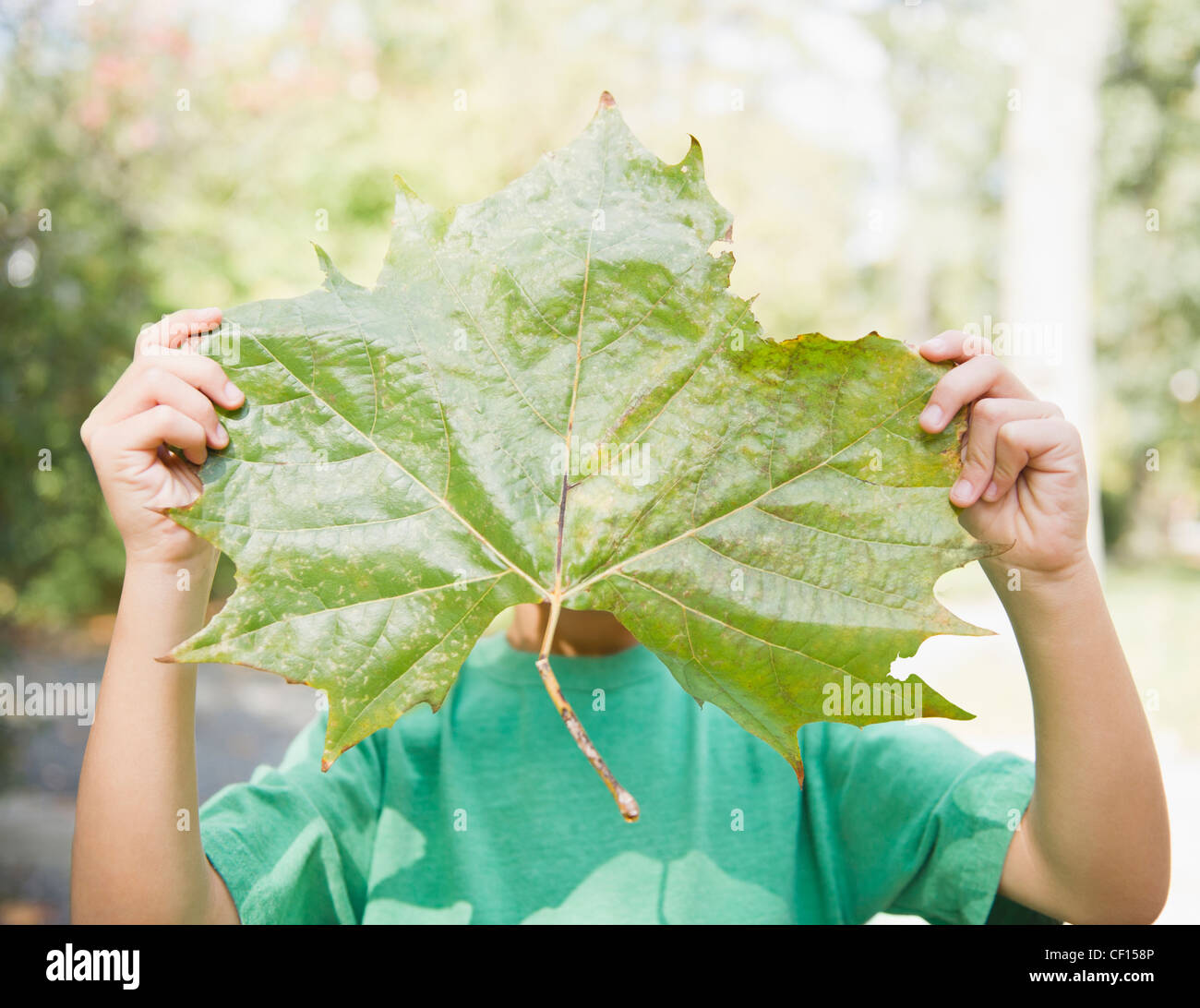 Caucasian boy holding large leaf hi-res stock photography and images ...