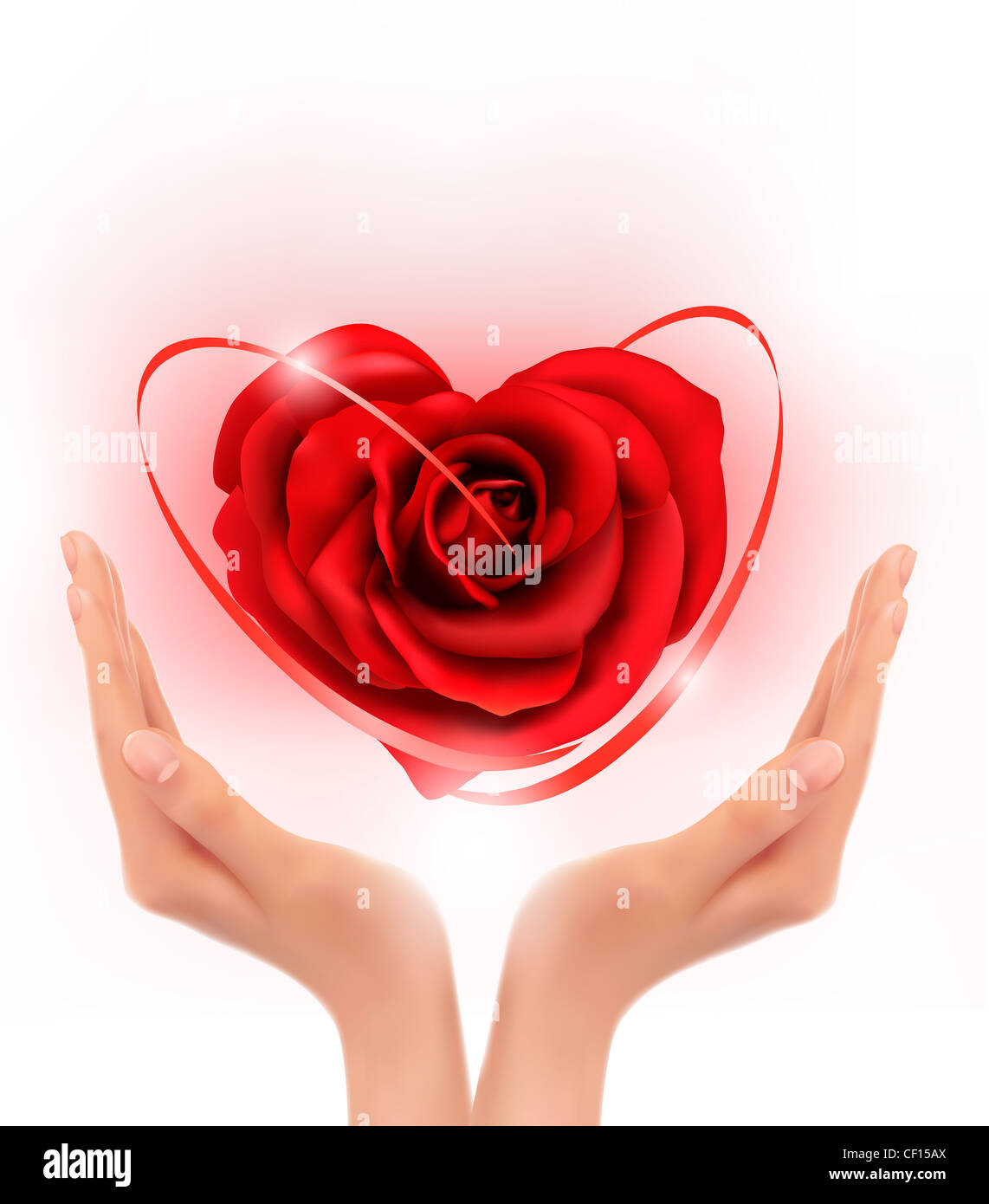 Hands holding a rose in a shape of heart Stock Photo - Alamy