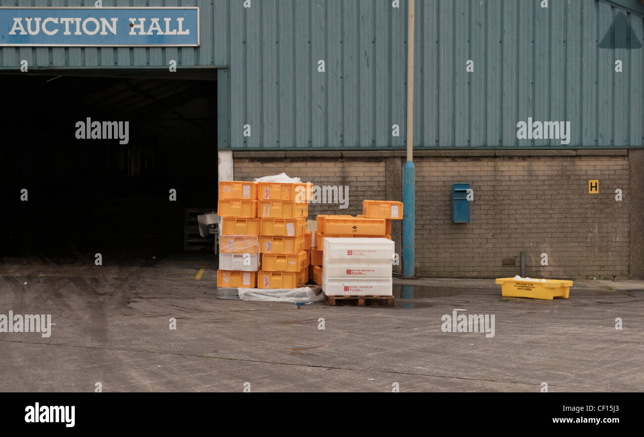 Empty fish hall hi-res stock photography and images - Alamy