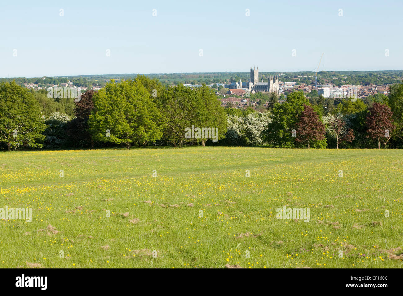 ว่ายน้ำ Archives - yed4k เว็บหนังโป๊ดีที่สุด ภาพคมชัดhd ลื่นไหลไม่มีสะดุด