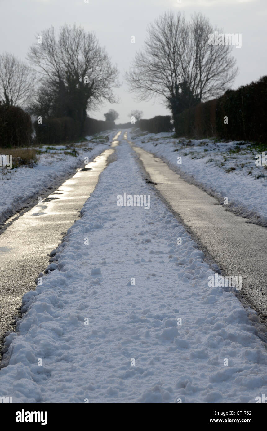 Lane with trees hi-res stock photography and images - Alamy