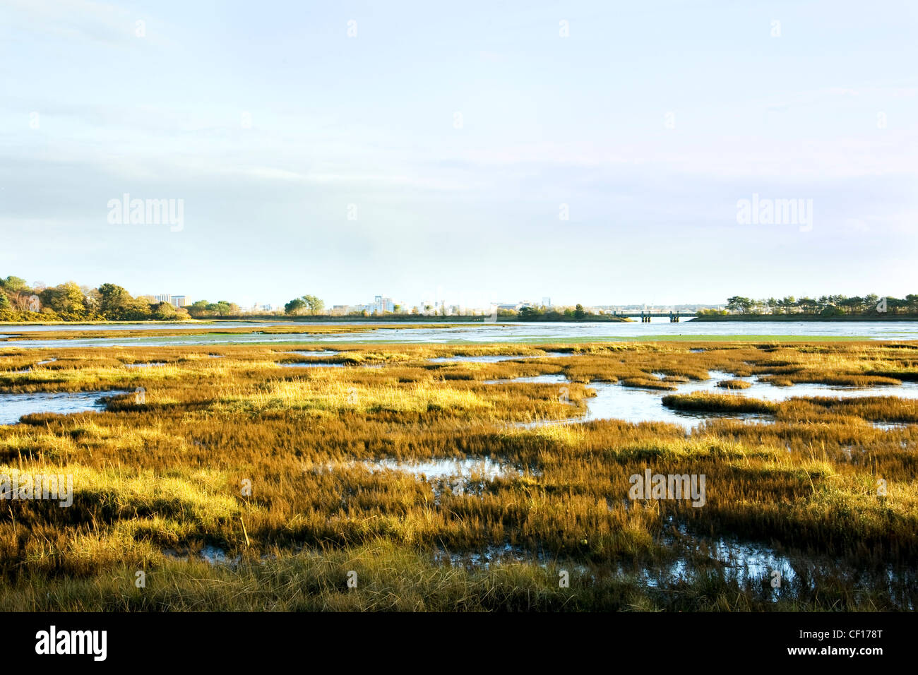 Upton country Park, Poole, Dorset, England Stock Photo - Alamy