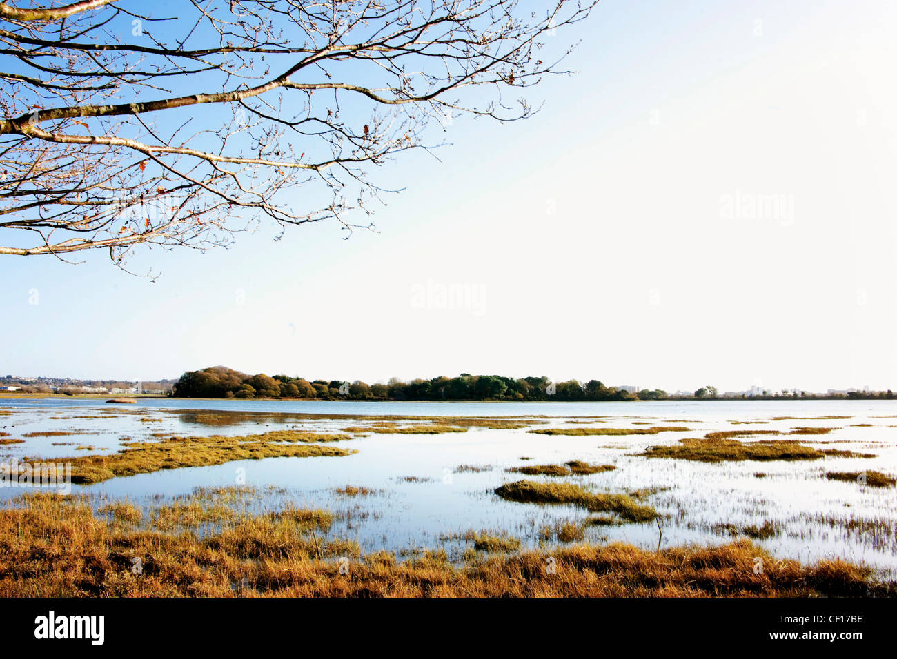 Upton country Park, Poole, Dorset, England Stock Photo - Alamy