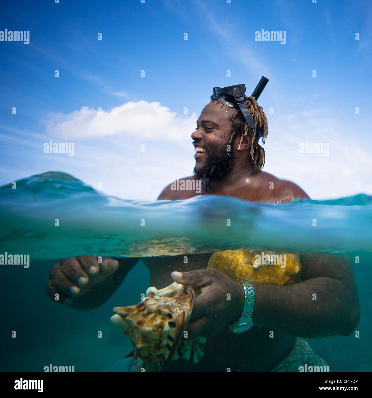 Two conch shells hi-res stock photography and images - Alamy