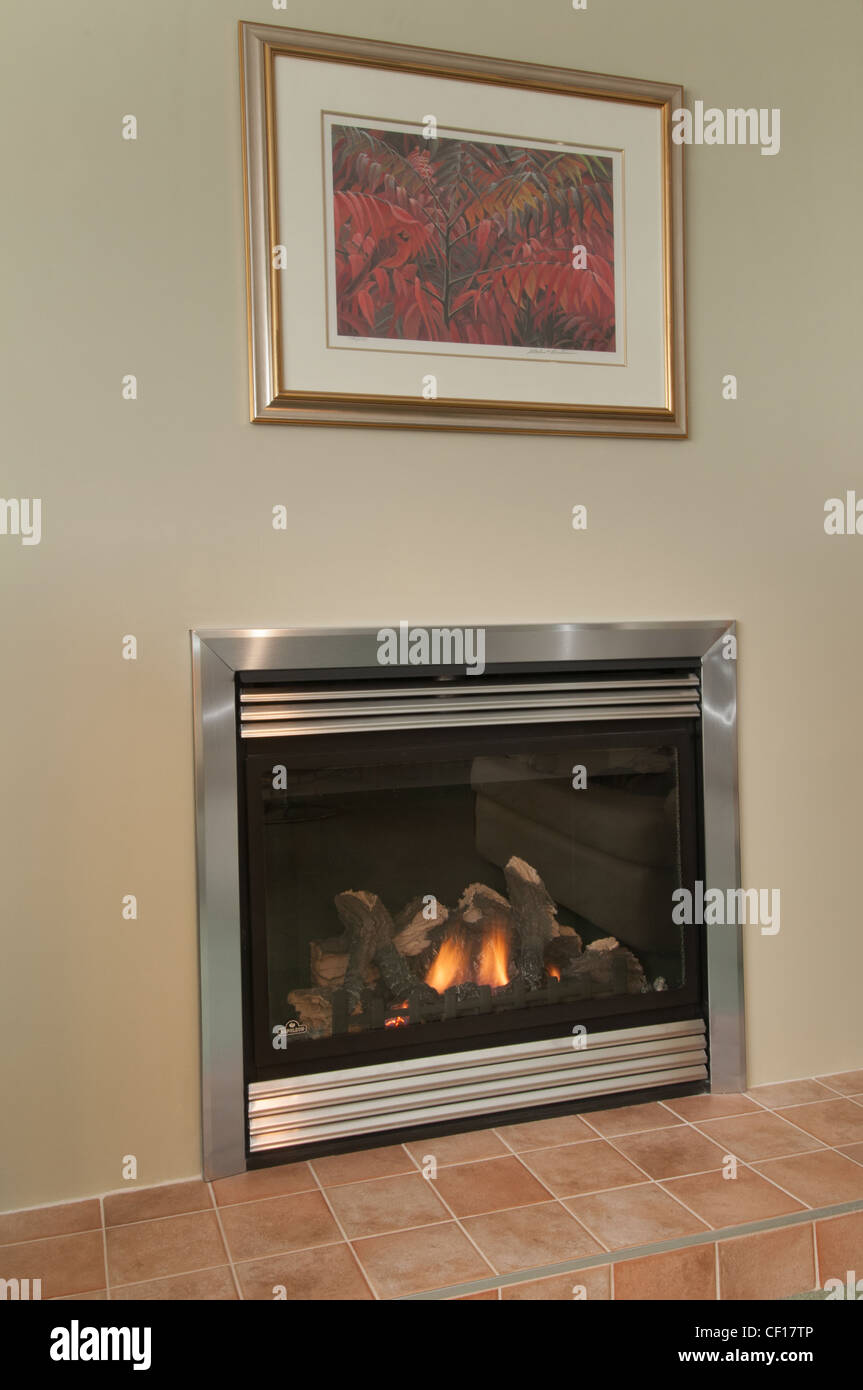 Gas burning fireplace in residential home Stock Photo - Alamy