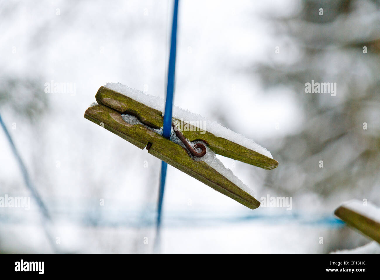 Snow covered clothes peg on a washing line Stock Photo - Alamy