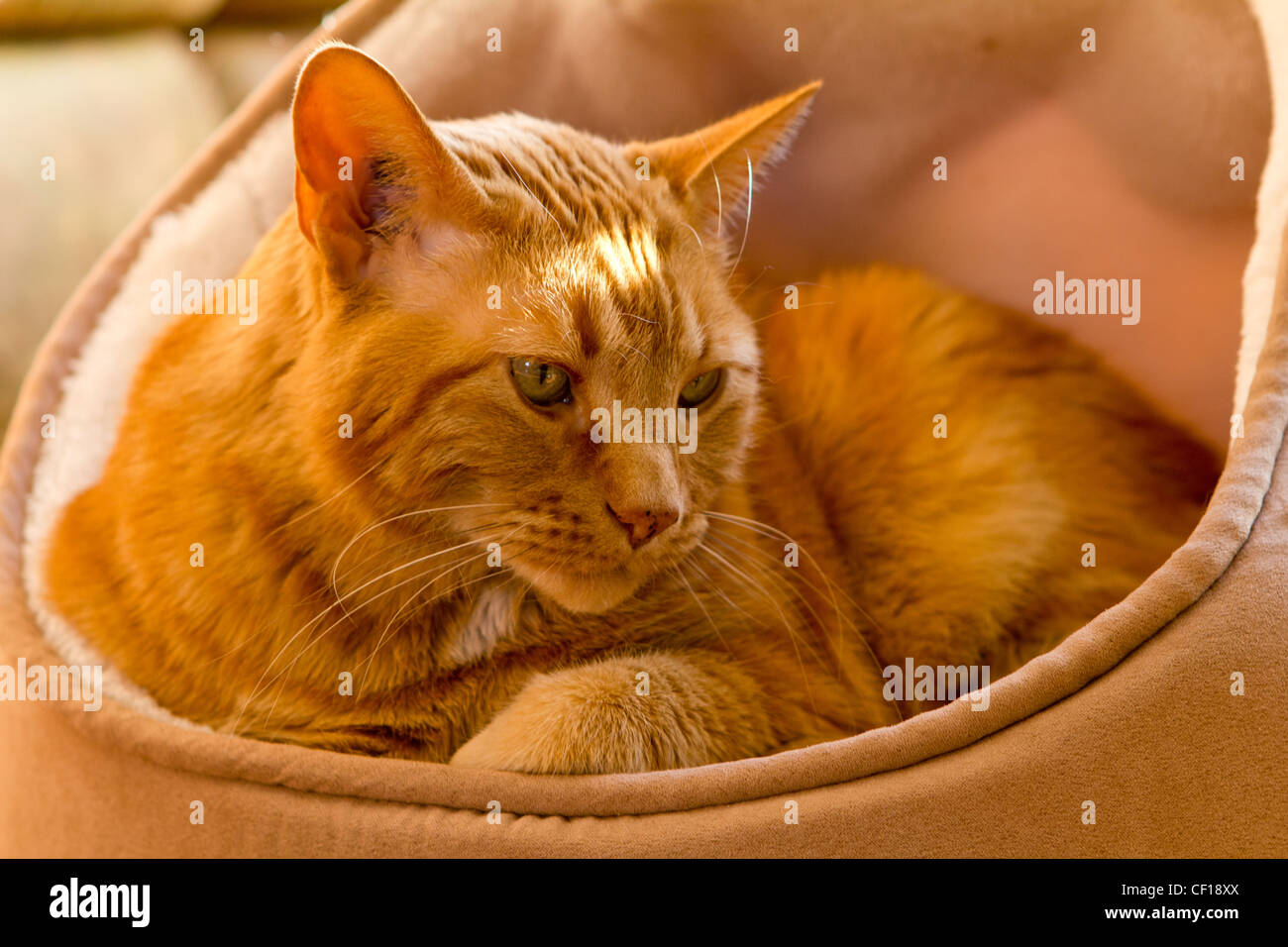 Täby hi-res stock photography and images - Alamy