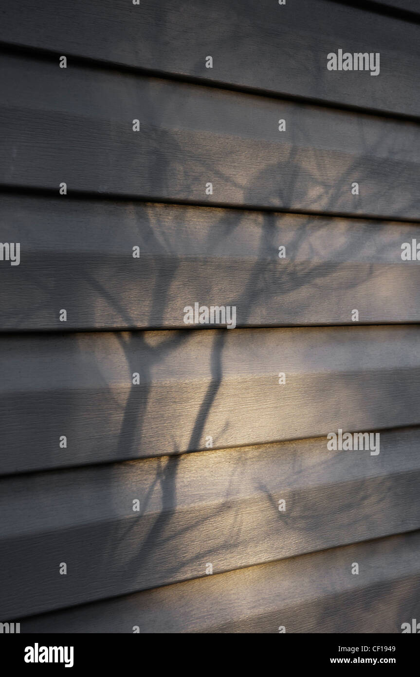 Tree Casting Shadow Stock Photos & Tree Casting Shadow Stock Images - Alamy