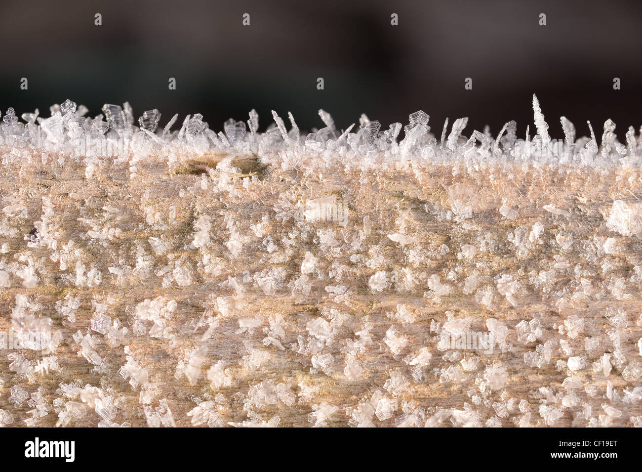 Extreme close up of winter frost and ice crystals due to mist and ...