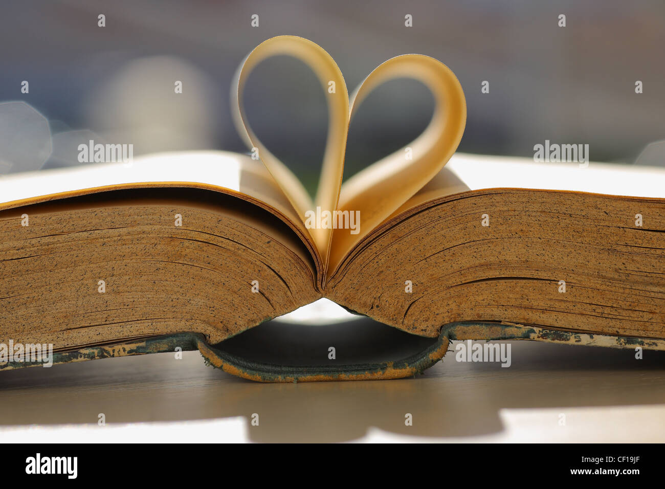 Side view of open old book with pages curled in shape of love heart ...