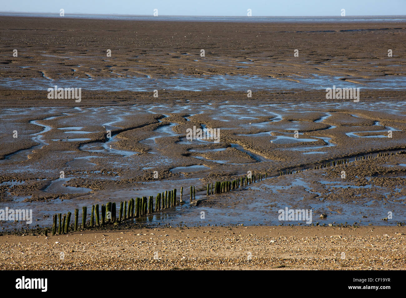 Snettisham, norfolk hi-res stock photography and images - Alamy