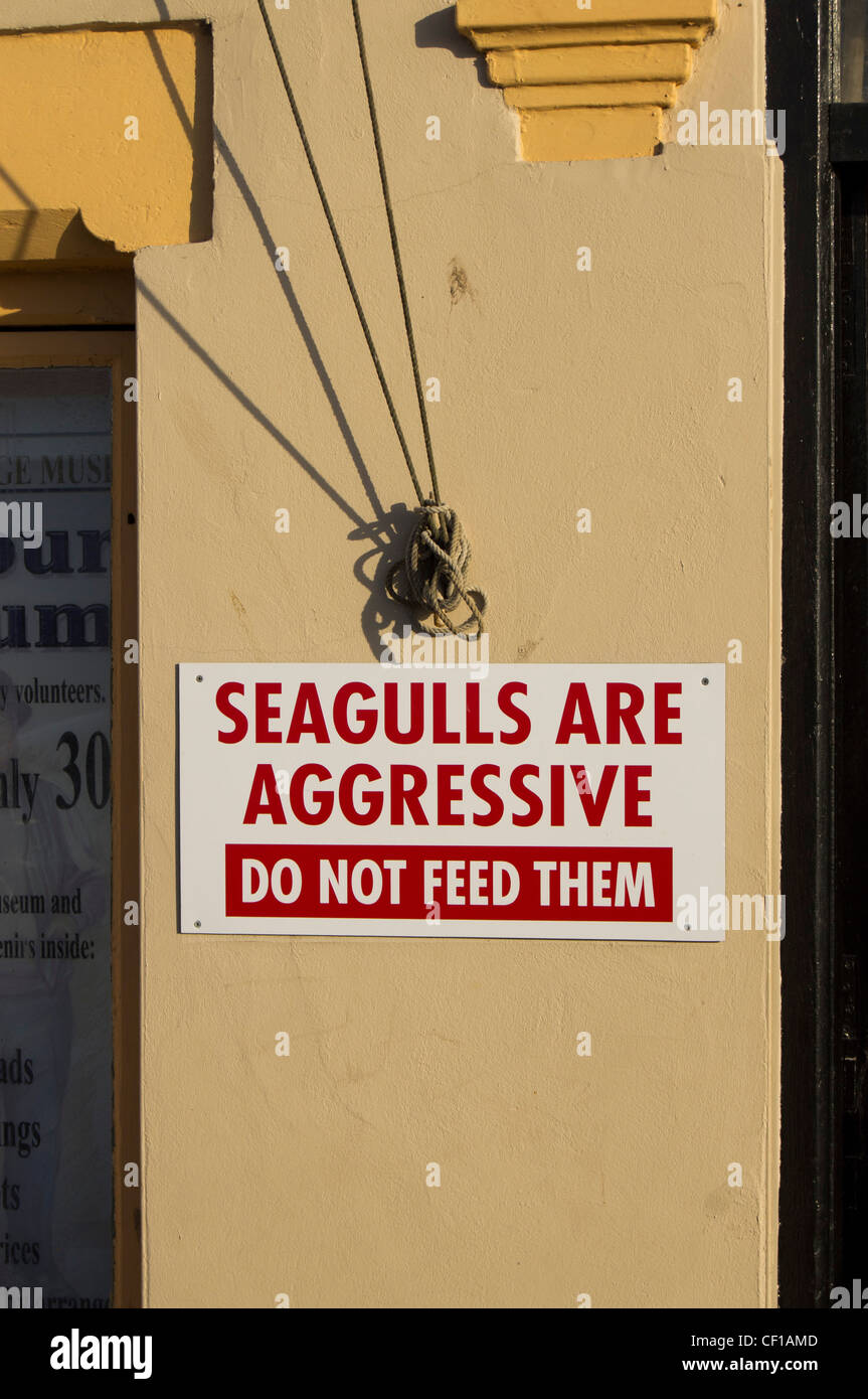 Seagull warning sign hi-res stock photography and images - Alamy