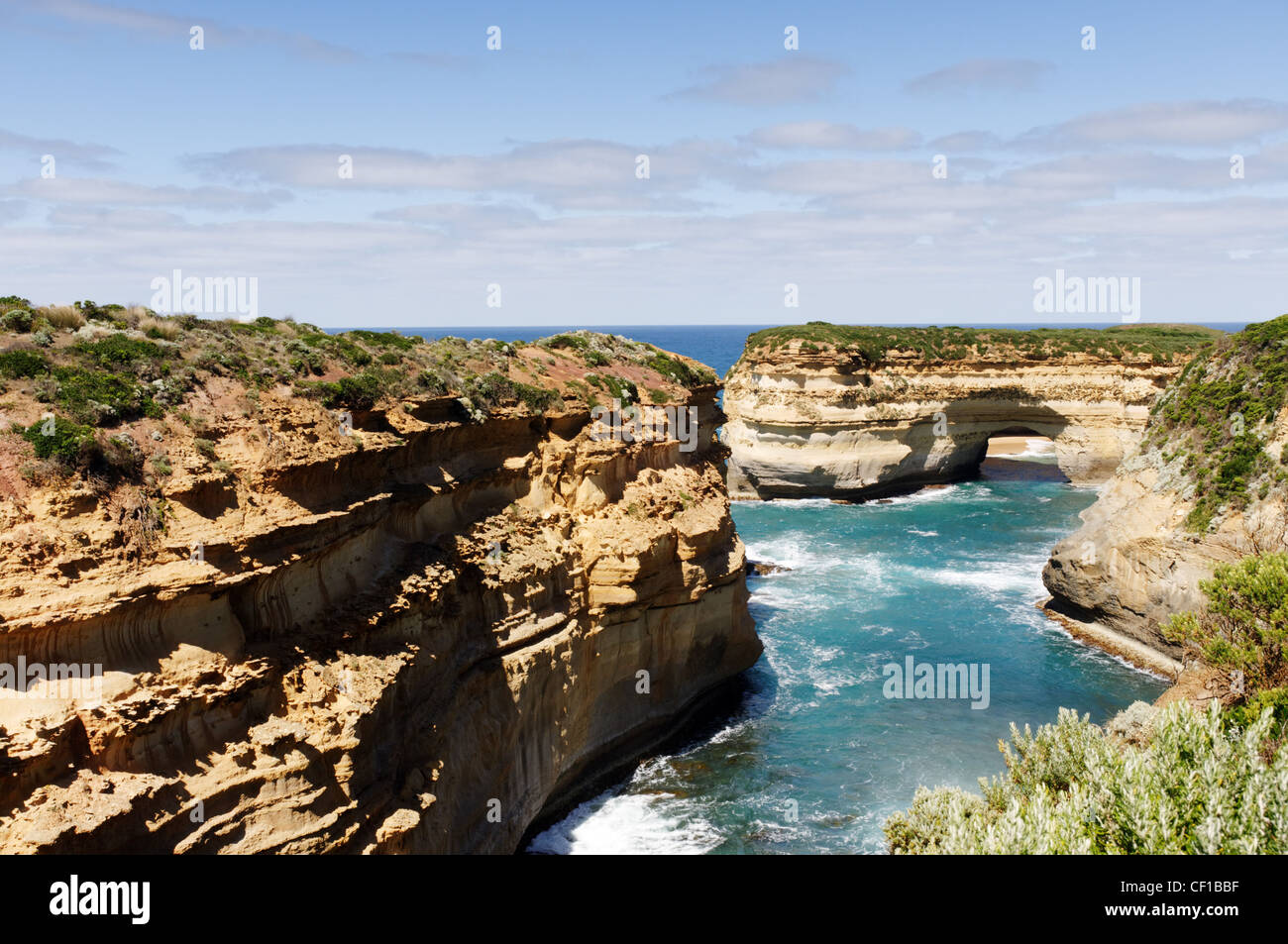 Mutton bird hi-res stock photography and images - Alamy