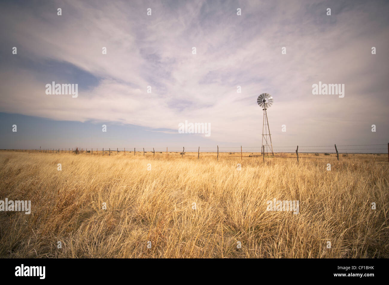 Texas field low angle hi-res stock photography and images - Alamy