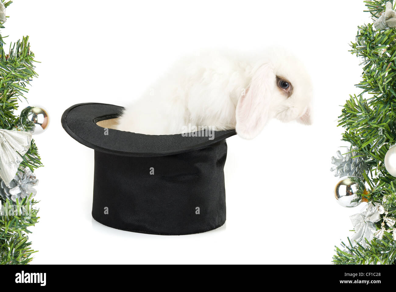 Little rabbit at magic hat isolated on a white background Stock Photo ...