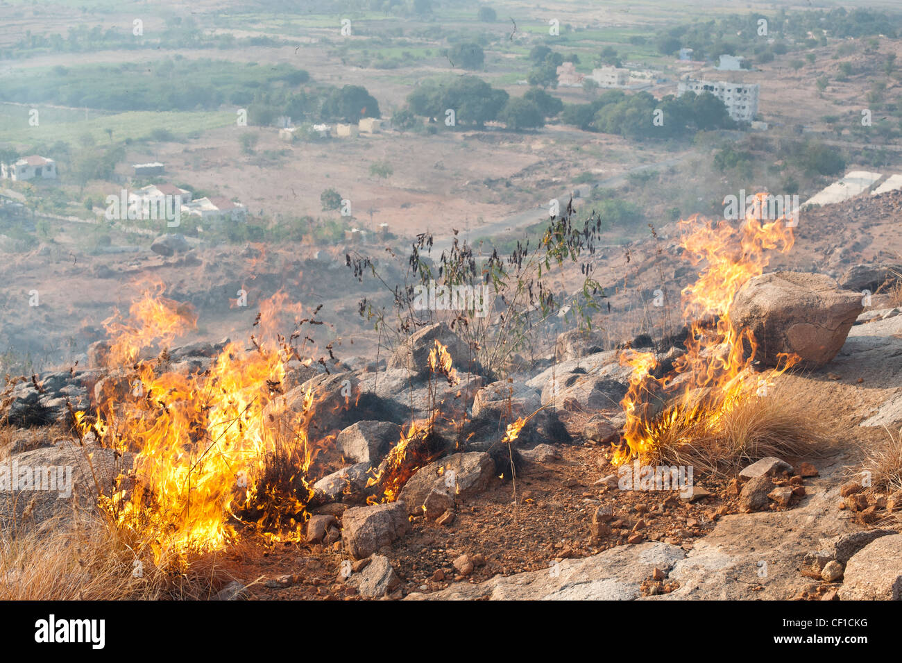 Bush fire flames in the indian countryside. Andhra Pradesh, India Stock ...