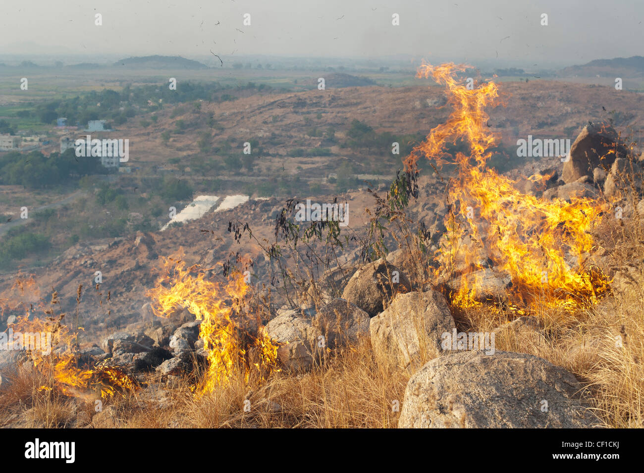 Bush fire flames in the indian countryside. Andhra Pradesh, India Stock ...