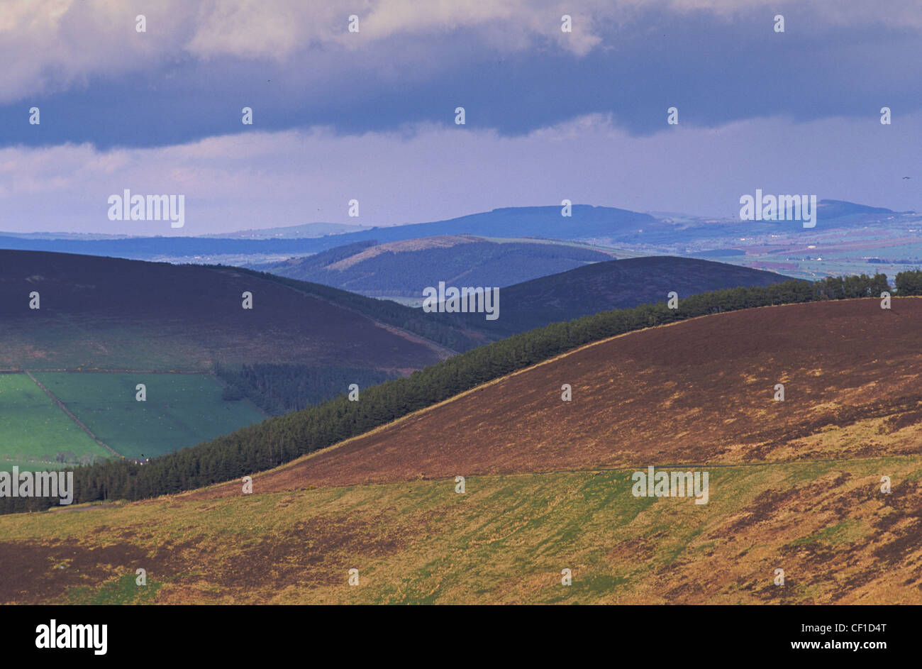 Blackstairs Mountain in rain and hail Stock Photo - Alamy