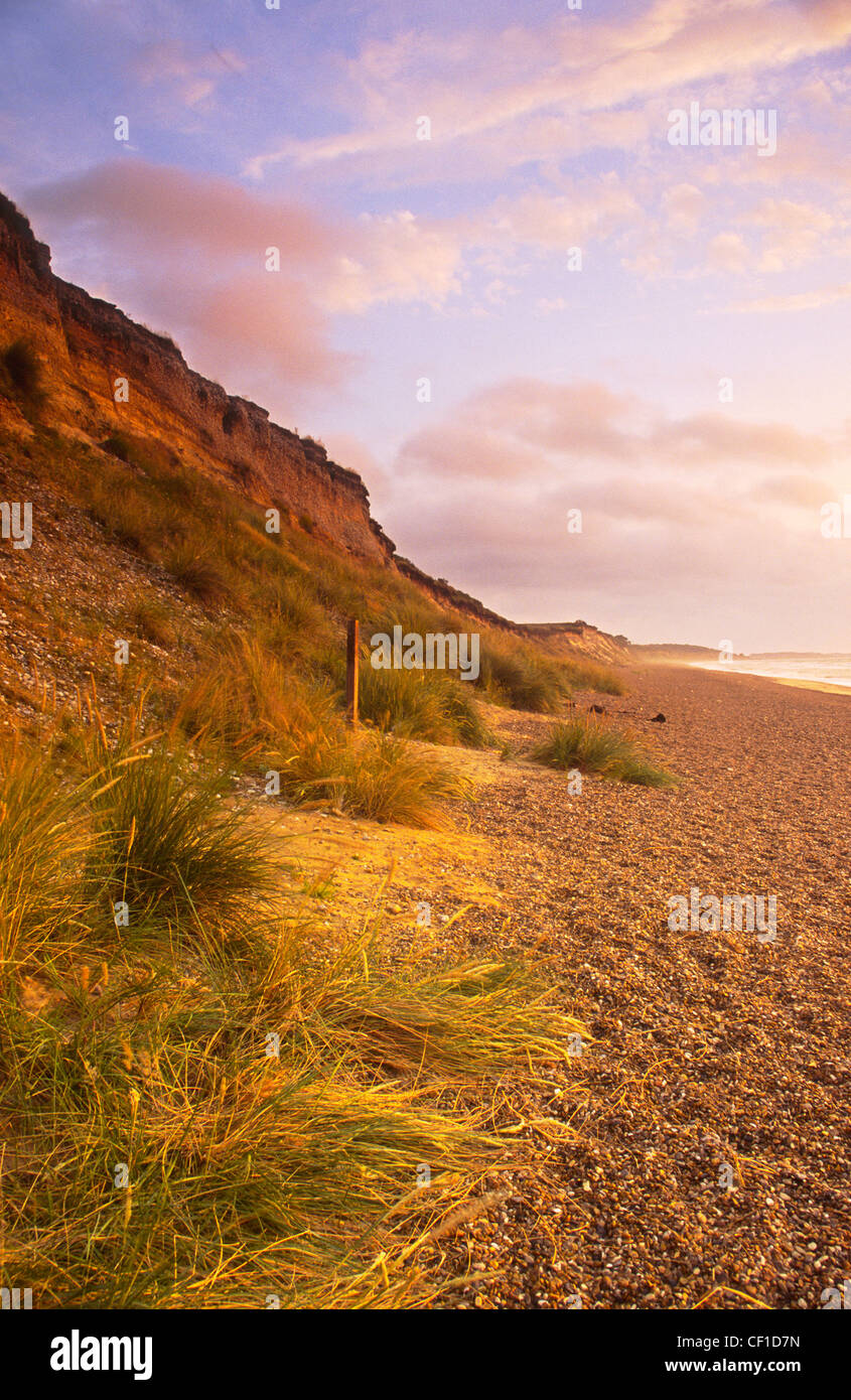 Dunwich cliffs hi-res stock photography and images - Alamy