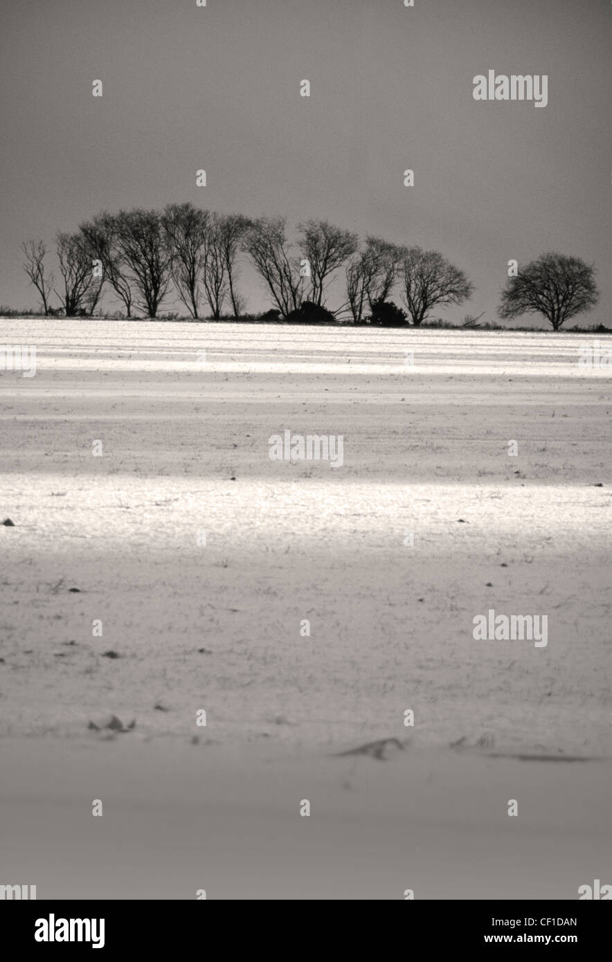 Suffolk snow scene hi-res stock photography and images - Alamy