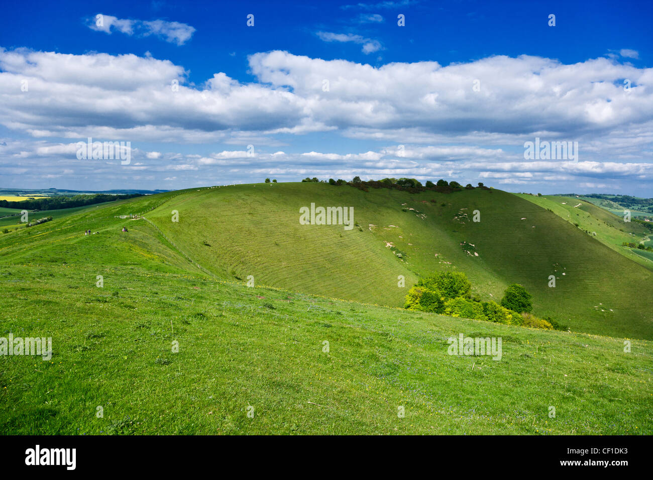 Marlborough downs ridge hi-res stock photography and images - Alamy
