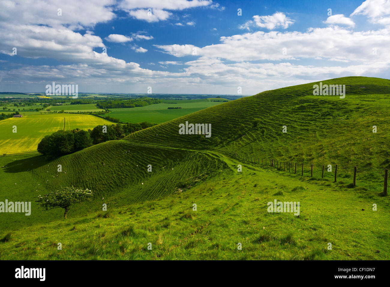 Marlborough downs hi-res stock photography and images - Alamy