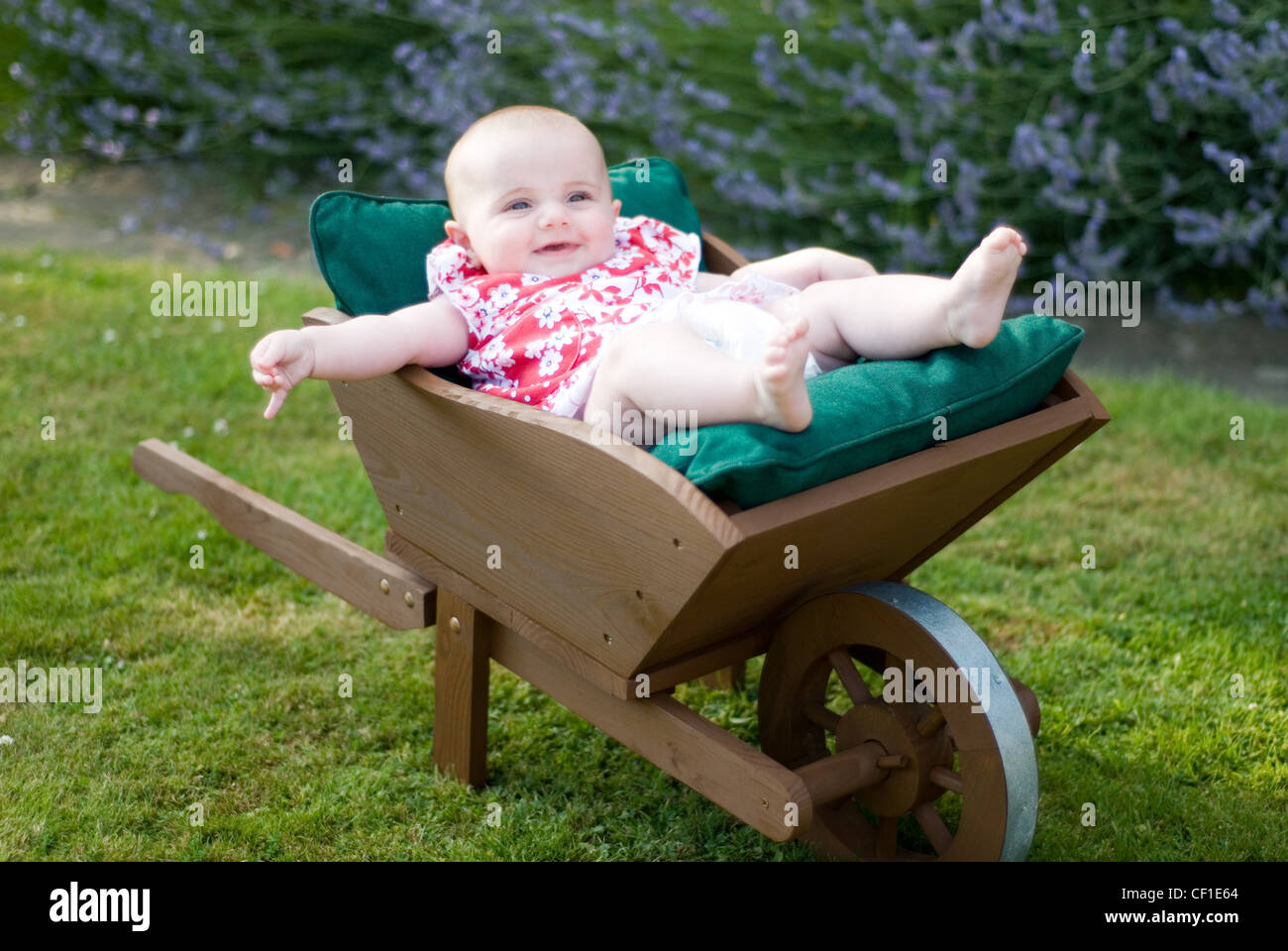 A female baby dressed in a red sleeveless dress white flowers, sitting ...