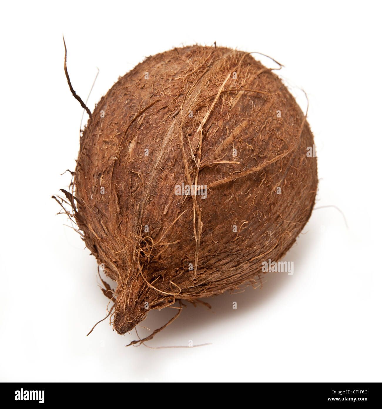 Whole coconut hi-res stock photography and images - Alamy
