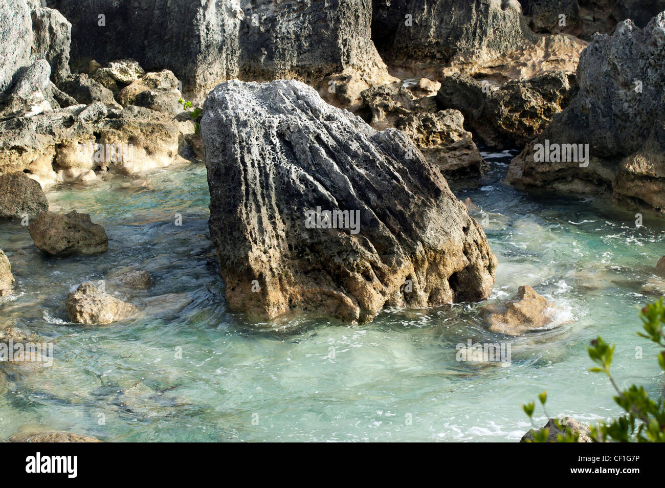 Close-up of a Rock formation and rock pool, Church Bay, Bermuda Stock ...