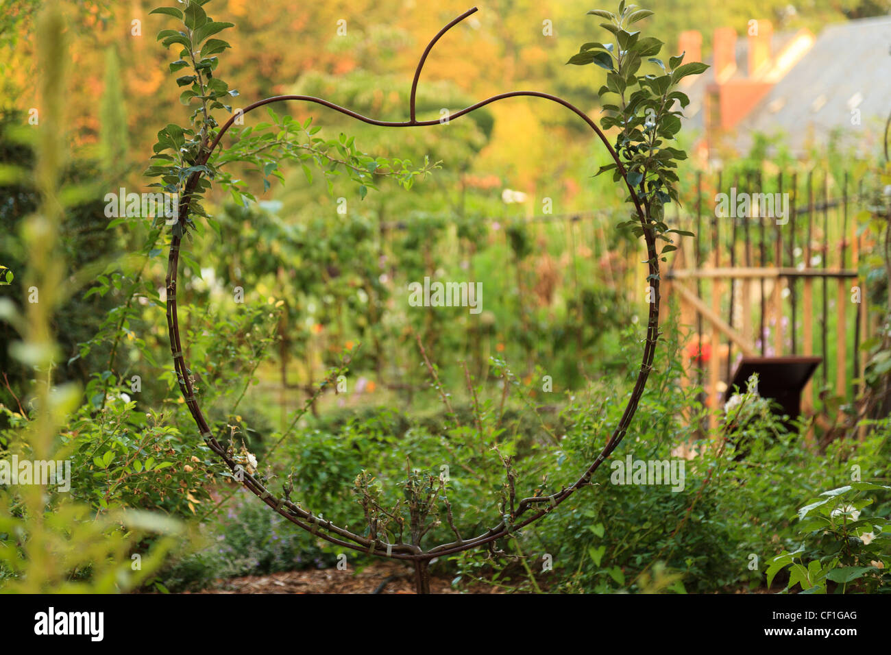 apple-shaped structure to guide a young apple tree at the Festival ...