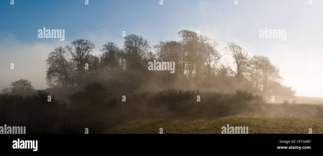 Wittenham clumps hi-res stock photography and images - Alamy
