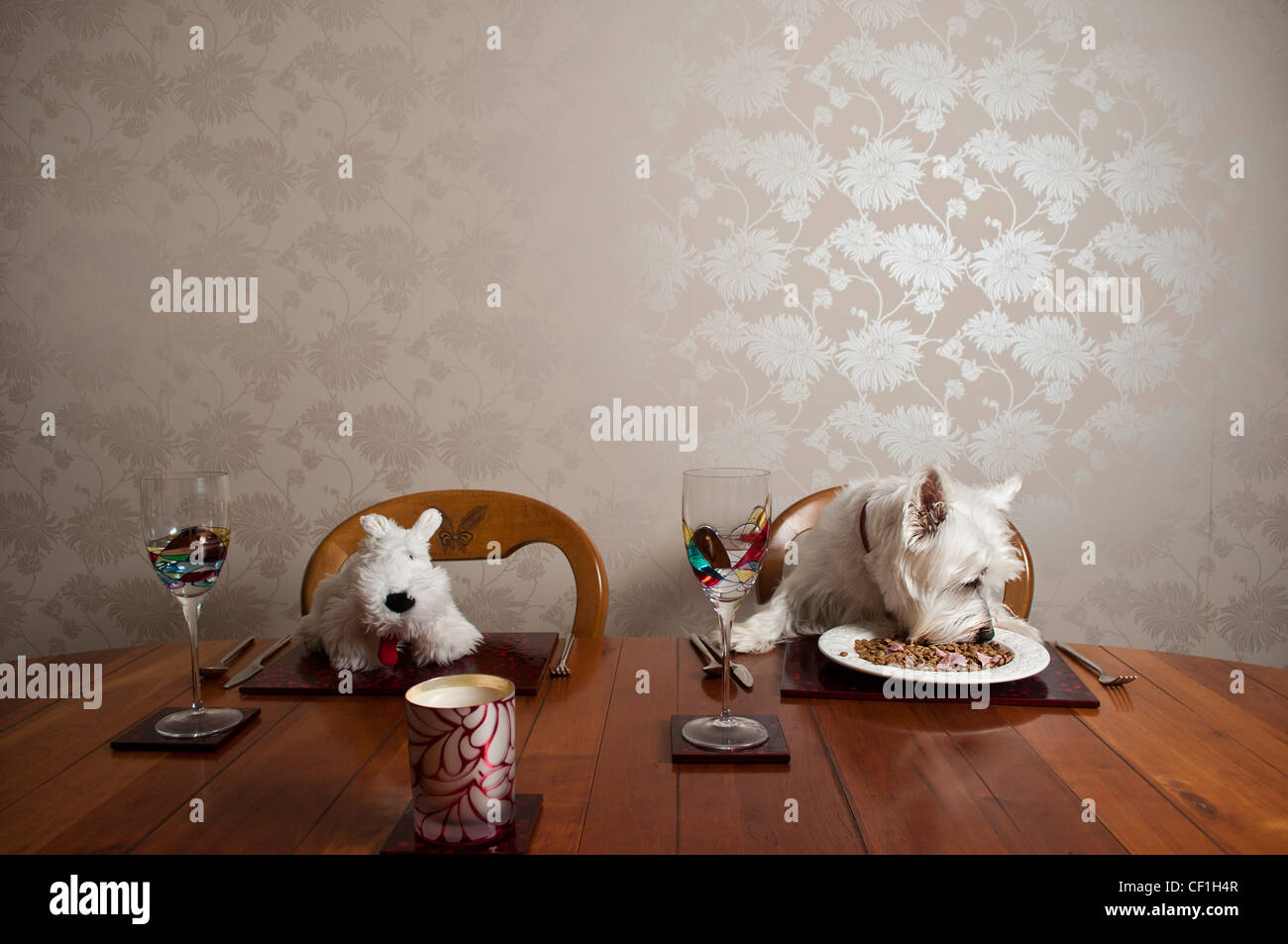 Dog at the Dinner Table Stock Photo - Alamy