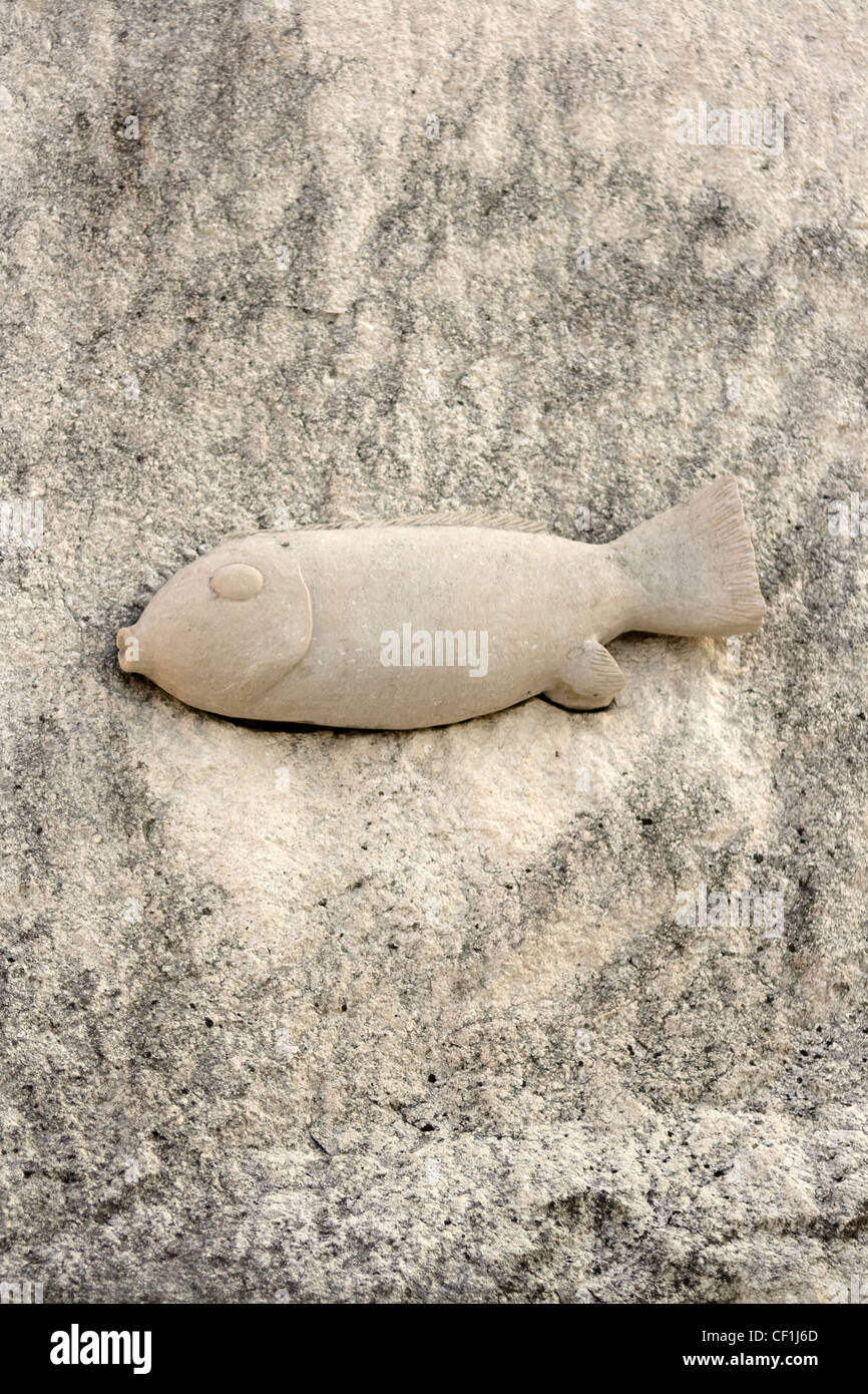Fish in the Stone Stock Photo - Alamy
