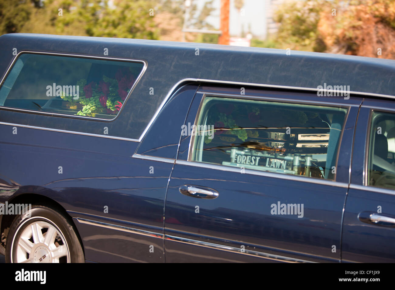 Michael Jackson In Coffin